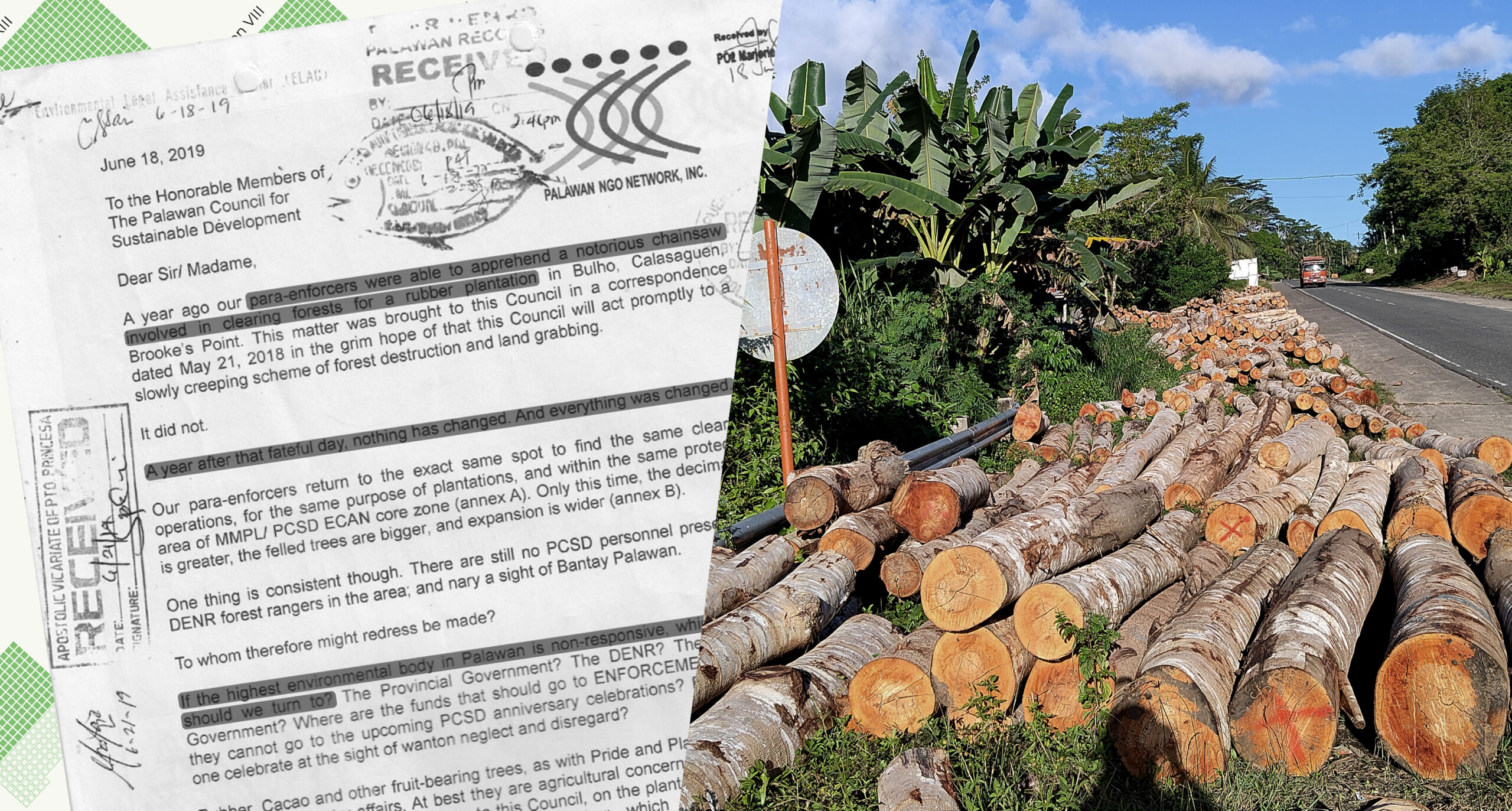 Forest Fraud: National Greenwashing Program - Lighthouse Reports